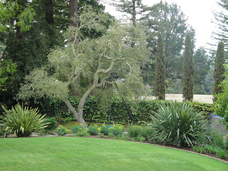 TRACY WESTPHAL Landscape Architect | Bay Area CA