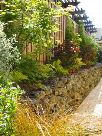 Small Kensington Garden | TRACY WESTPHAL Landscape Architect | Bay Area CA