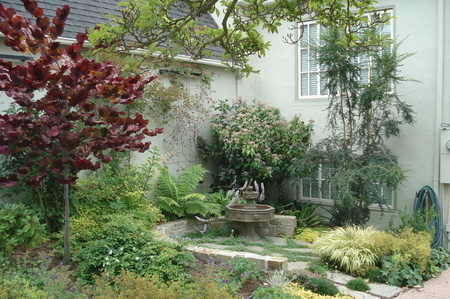 Small Entry Garden | TRACY WESTPHAL Landscape Architect | Bay Area CA