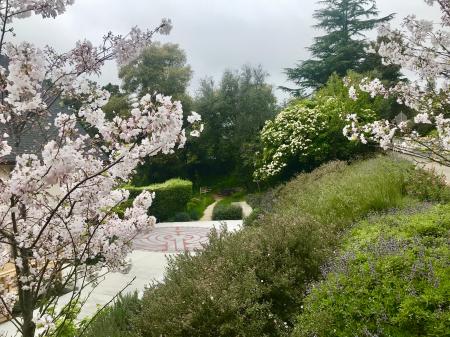 TRACY WESTPHAL Landscape Architect | Bay Area CA